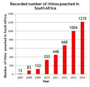 Alarming Rhino Poaching Statistics | Rhino Ridge Safari Lodge