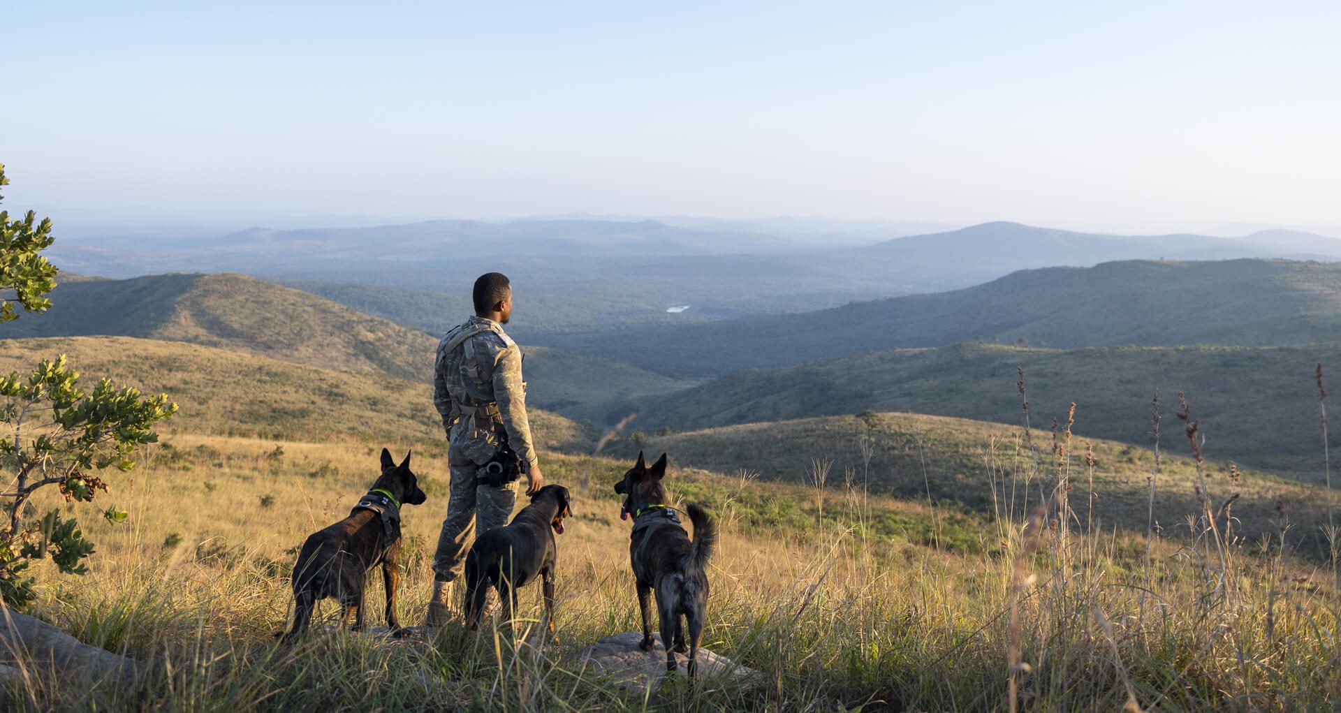 K9 Anti-poaching and World Ranger Day | Rhino Ridge Safari Lodge
