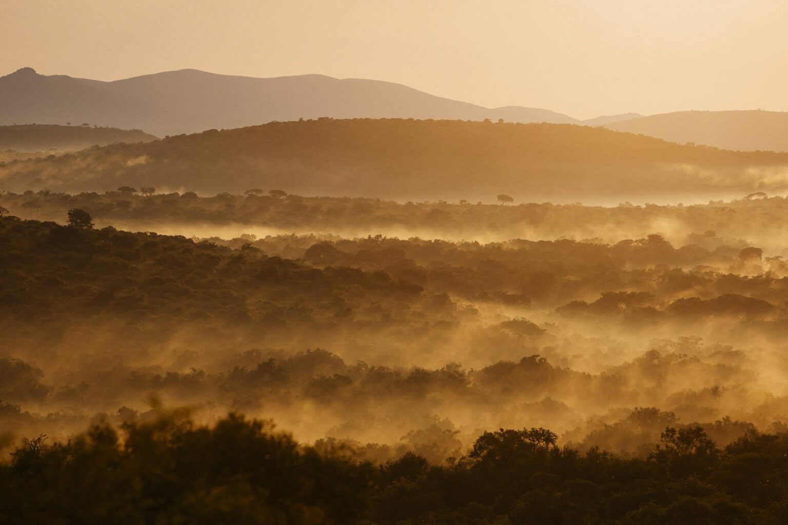 K9 Anti-poaching and World Ranger Day | Rhino Ridge Safari Lodge
