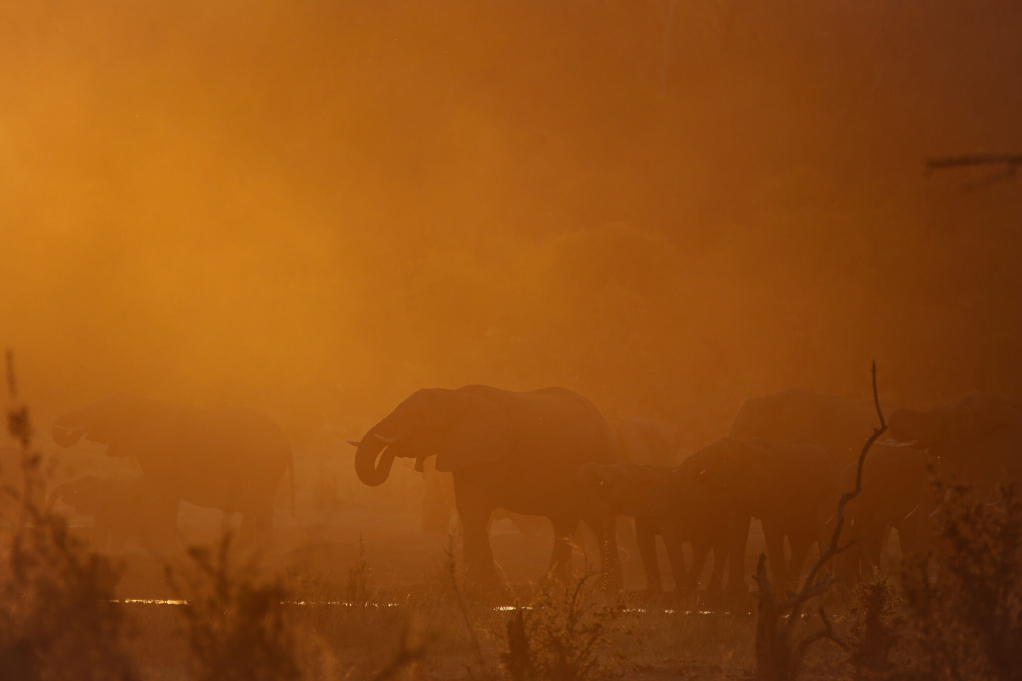 Winter Safari South Africa & Zimbabwe | Top 5 Experiences with Isibindi ...